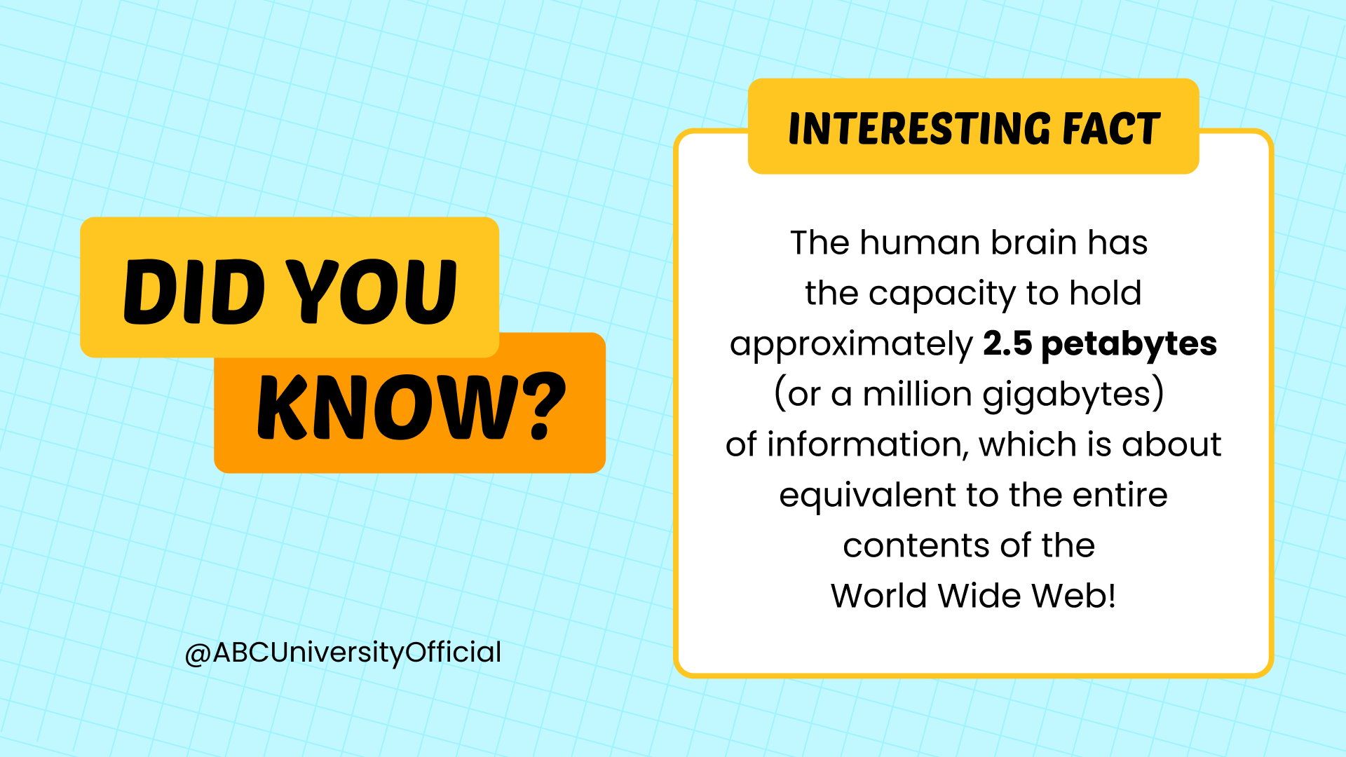 Digital Signage for Education | Xibo Signage